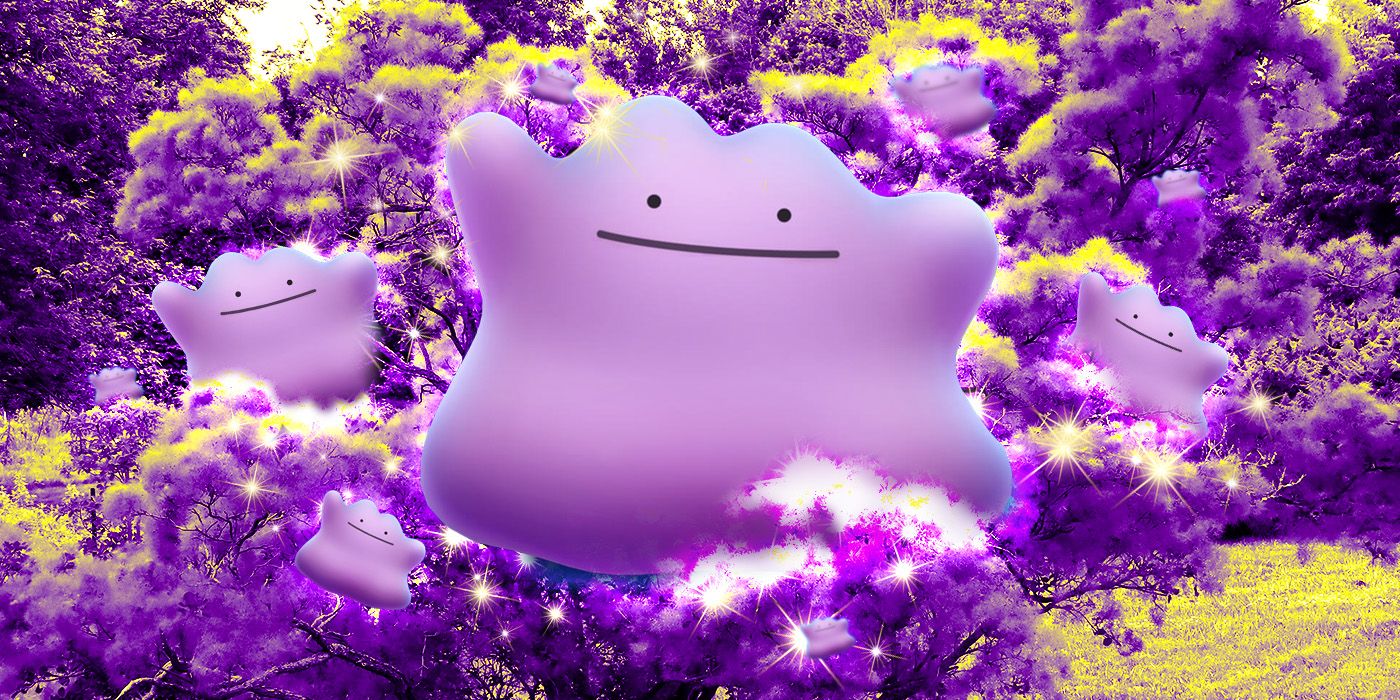 All Ditto disguises in Pokémon GO (June 2026)