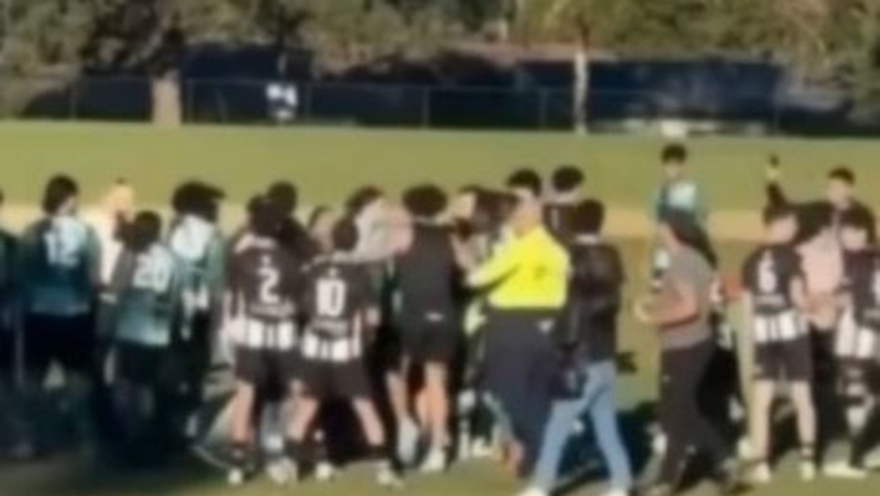 Teen bitten, two charged after pitch invasion