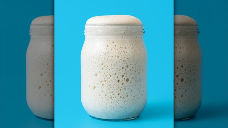 11 sourdough starter mistakes everyone makes