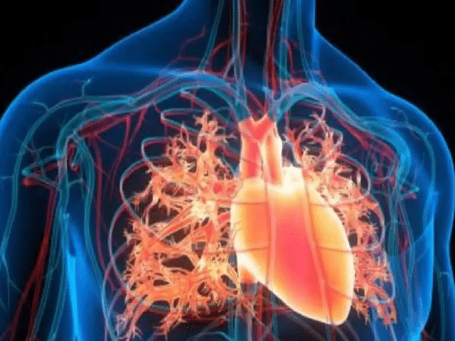Heart attack recovery: How to strengthen your heart after heart surgery ...