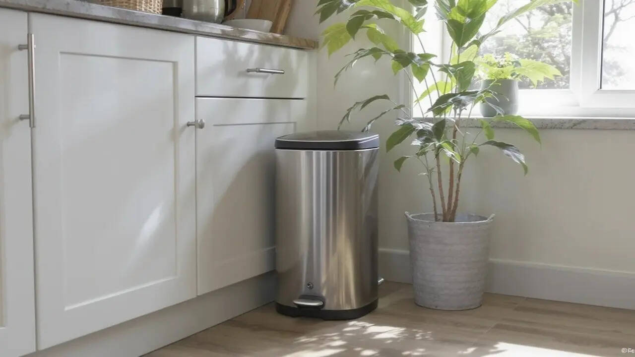 Where to place your dustbin at home to reduce odors, germs, and ...