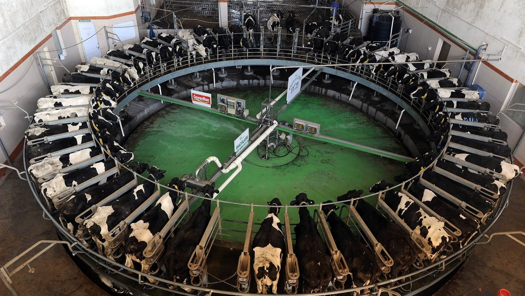 World Milk Day spotlights women at heart of India’s dairy sector
