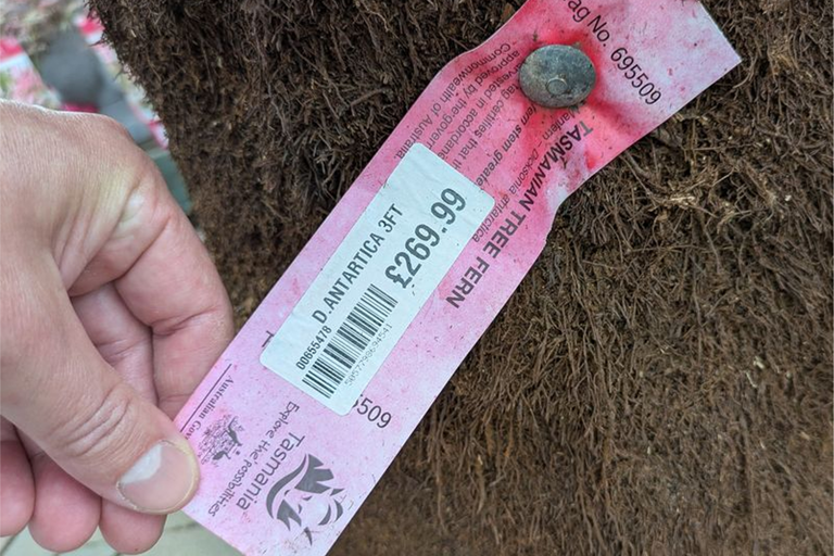 Ancient Aussie tree found for sale 17,000km away exposes alarming issue