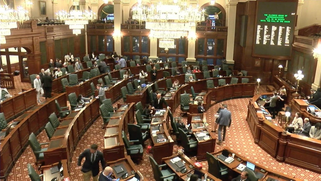 Illinois Senate passes last-minute bill to keep Bears in Illinois, but ...