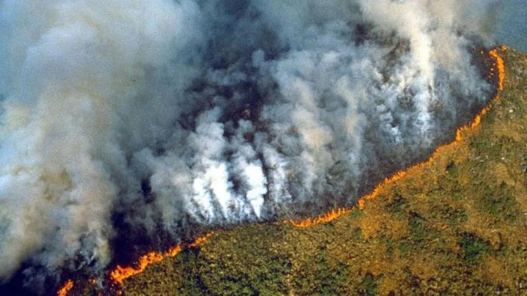 2025 wildfires were the costliest natural disasters in world history ...