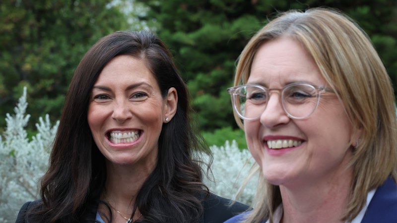 Labor MP apologises for backing domestic abuser, five others with ...