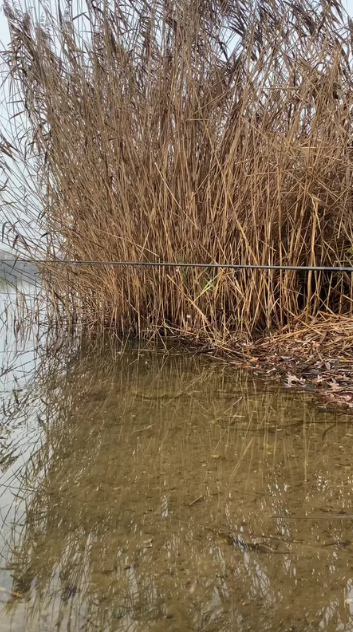 This fishing catch is too good