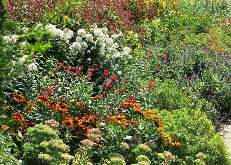 Glorious summer gardens to visit