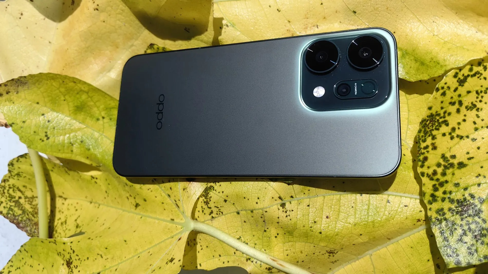 Tres móviles OPPO con batería para todo el día e IP68/IP69K: del más ...