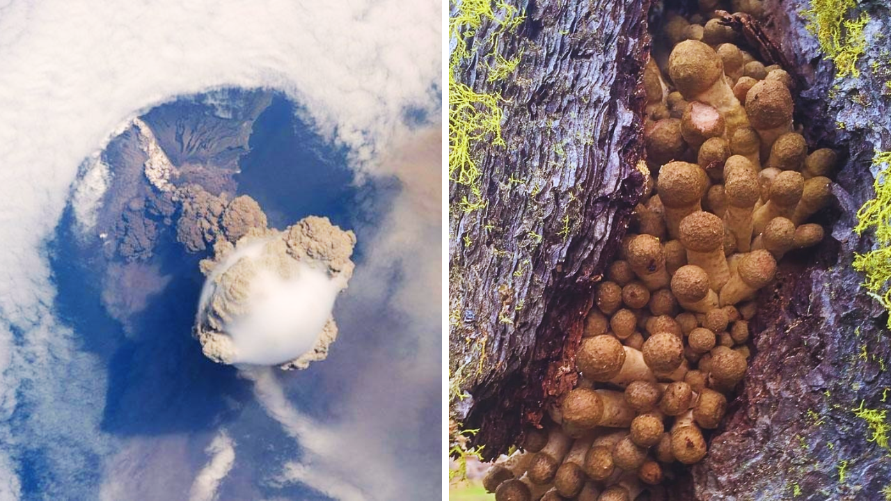 27 facts that are hard to wrap your head around