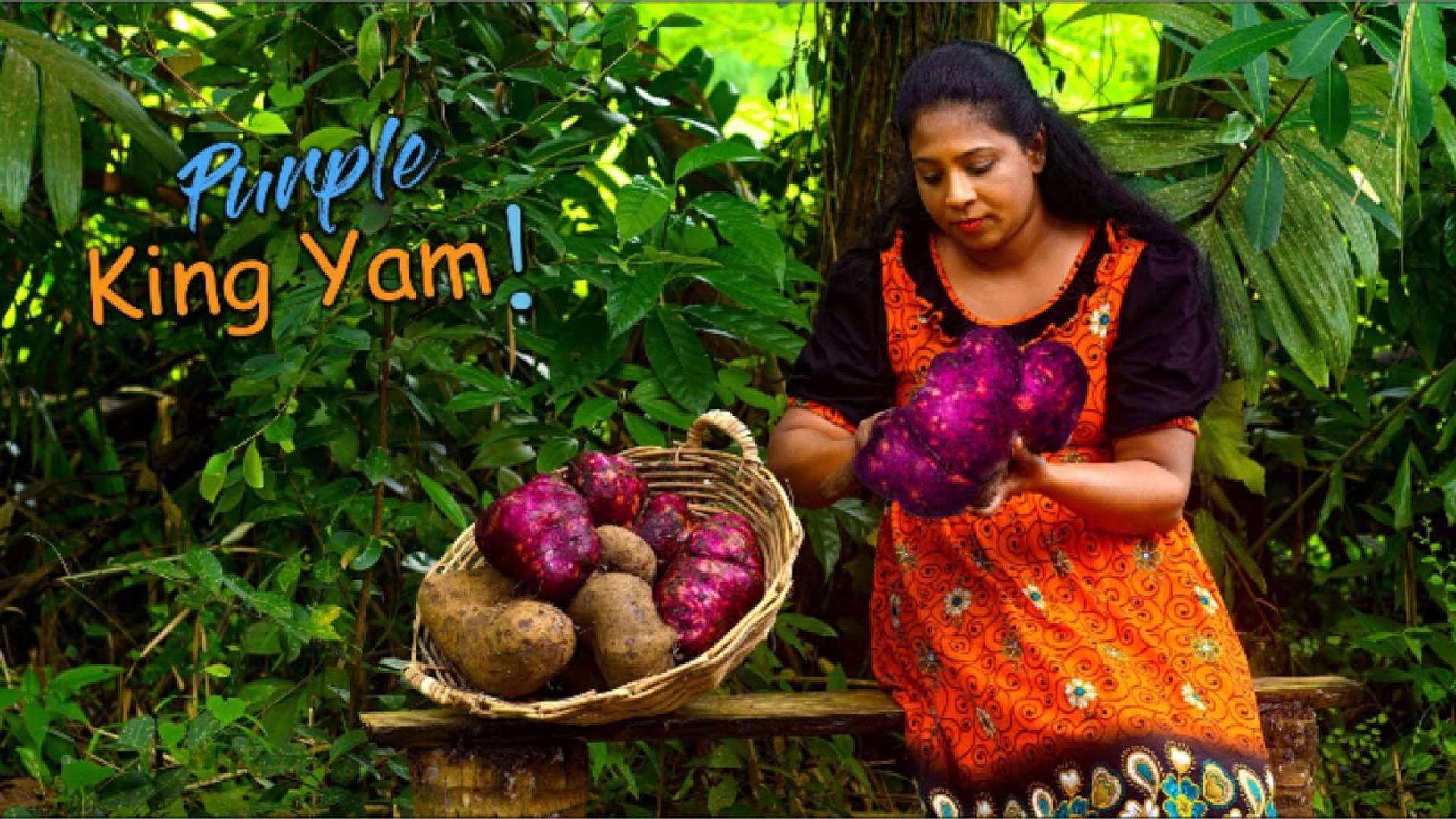 This purple yam creates stunning dishes