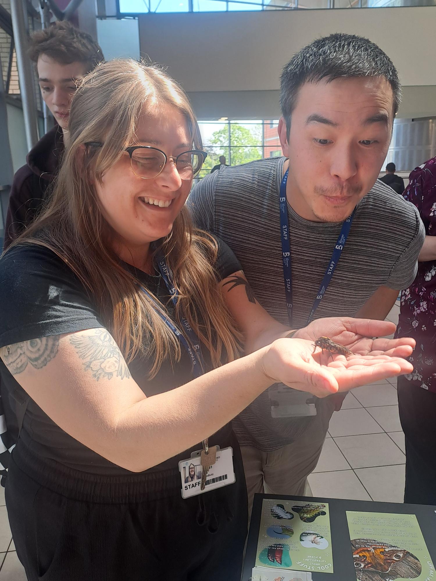 Butterflies and biodiversity: Tresham College students celebrate the ...