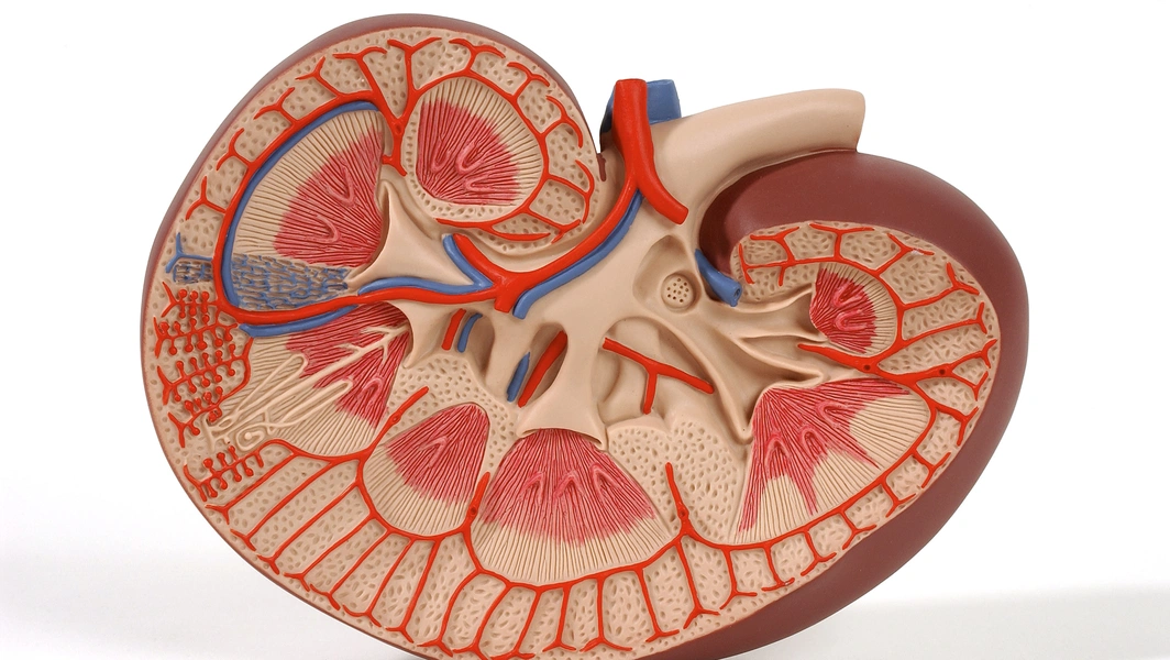 12 foods that may strain kidney function