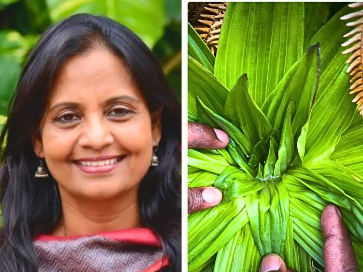 Supriya Sahu IAS is fascinated by this rare Nilgris plant: Even in ...