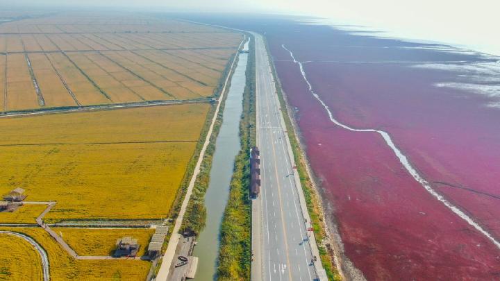 Studi: Emisi GRK dari sawah berlipat ganda 60 tahun terakhir
