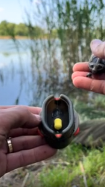 How to choose the perfect fishing lure
