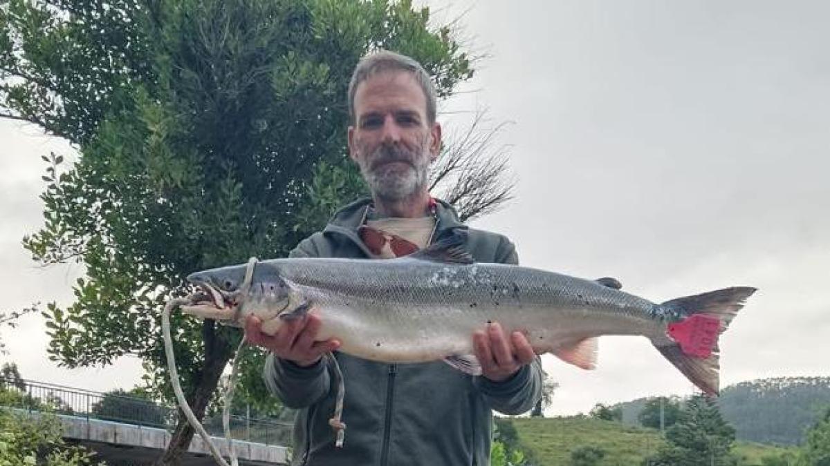 El 'Campanu' cántabro, el primer salmón de la temporada, pesa 4,7 kilos ...
