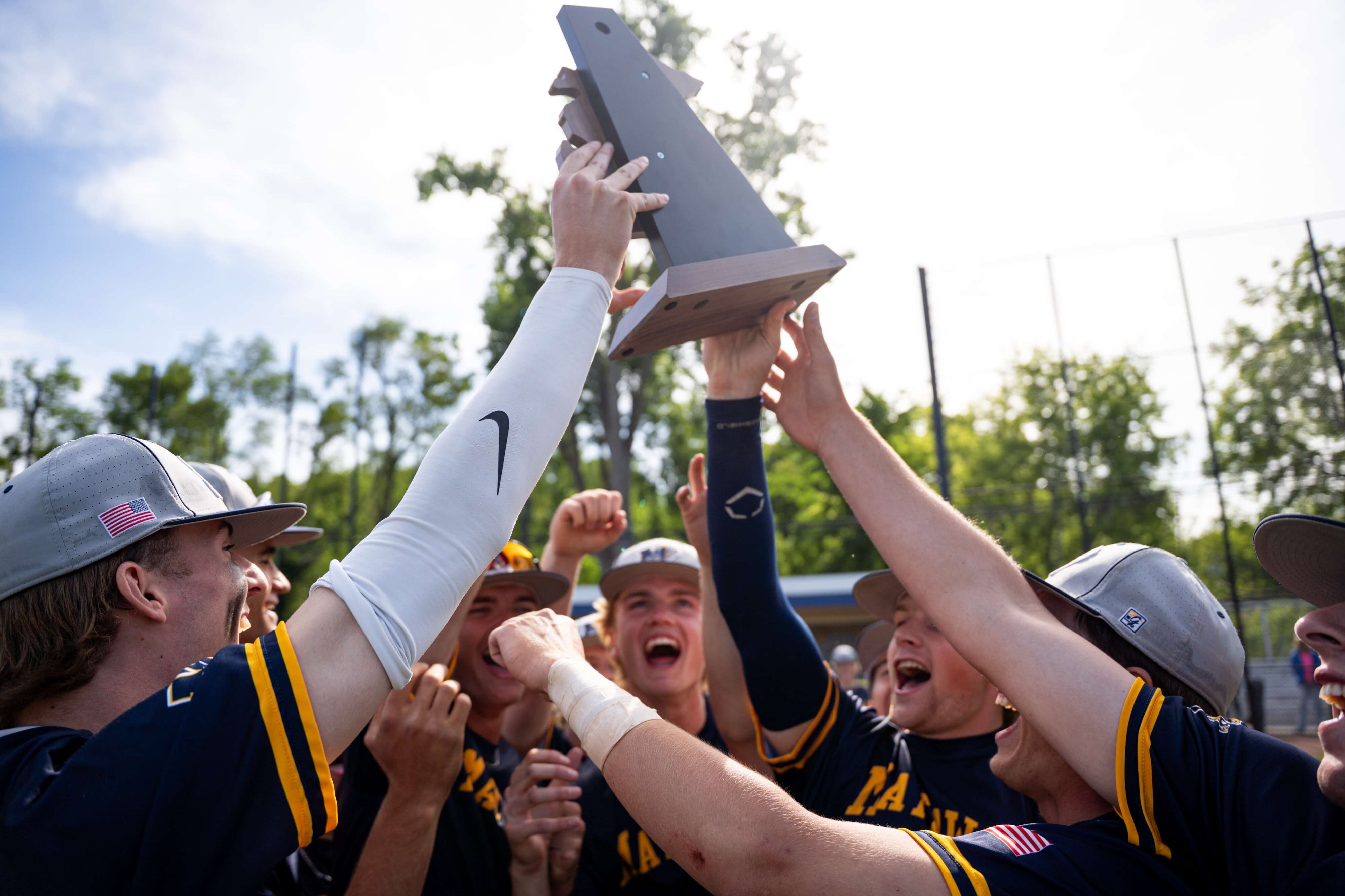 10 Kalamazoo-area baseball teams win district titles — see all the ...