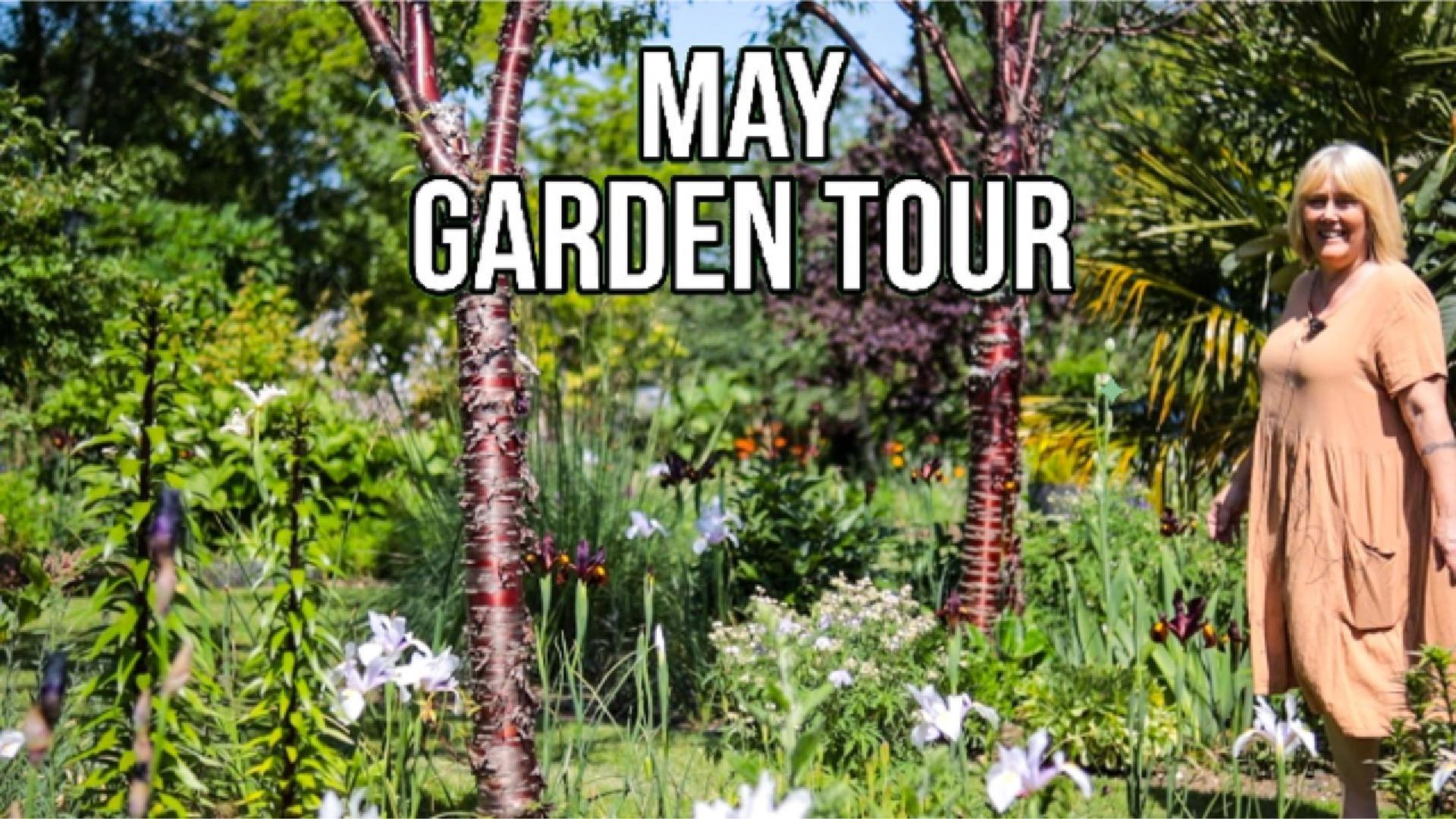 A garden tour with unexpected seedlings