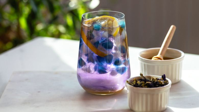 Butterfly pea flower extract: What is this strikingly vibrant ...