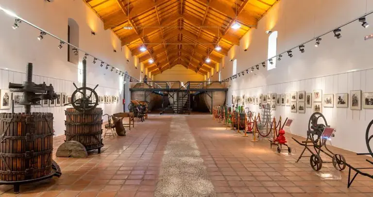 Degustazioni di vino in mezzo ai capolavori di Picasso a Warhol. Così i ...