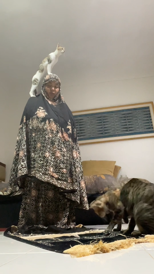 My furry guardian during prayer