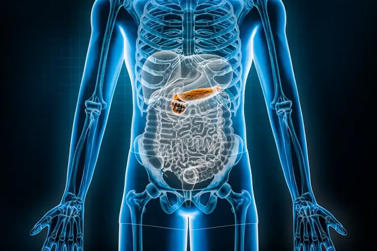Este es el mapa más preciso de las hormonas del cuerpo humano
