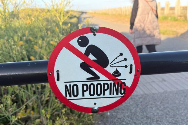 'No pooping' - signs telling people not to defecate appear at nature ...