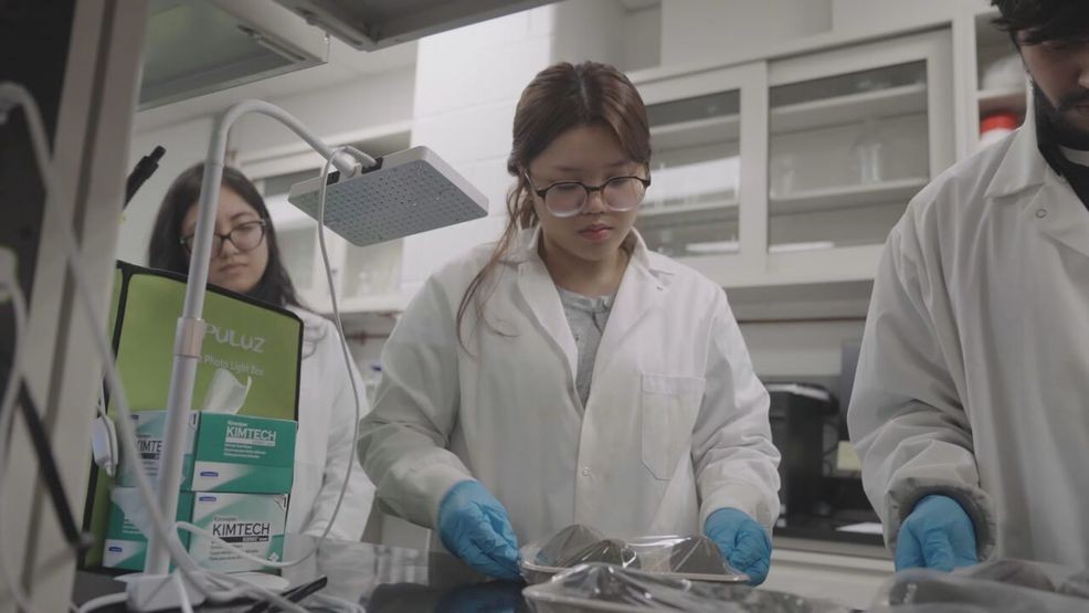 University of Maryland team nears breakthrough in fight against plastic ...