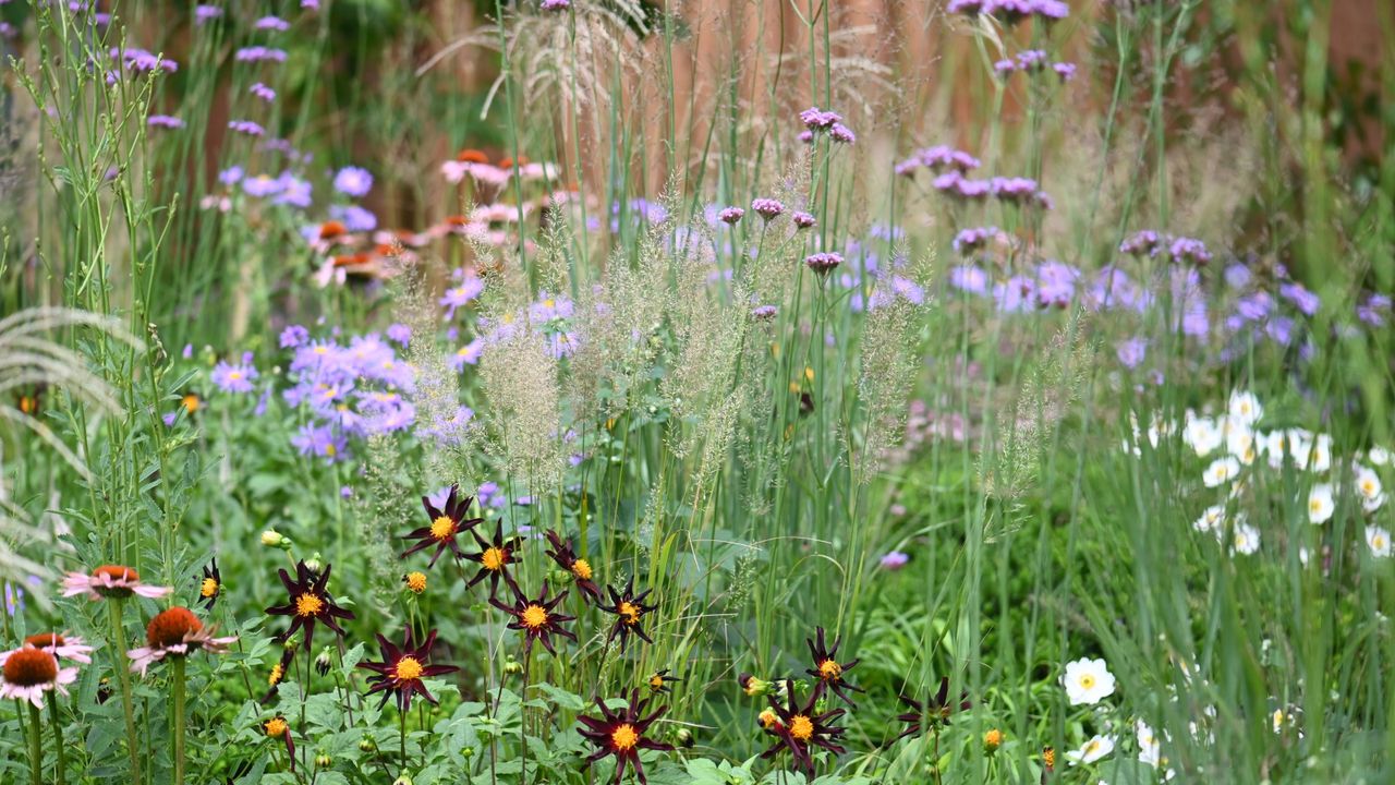 Designers are ditching all-white gardens – these gentler color palettes ...