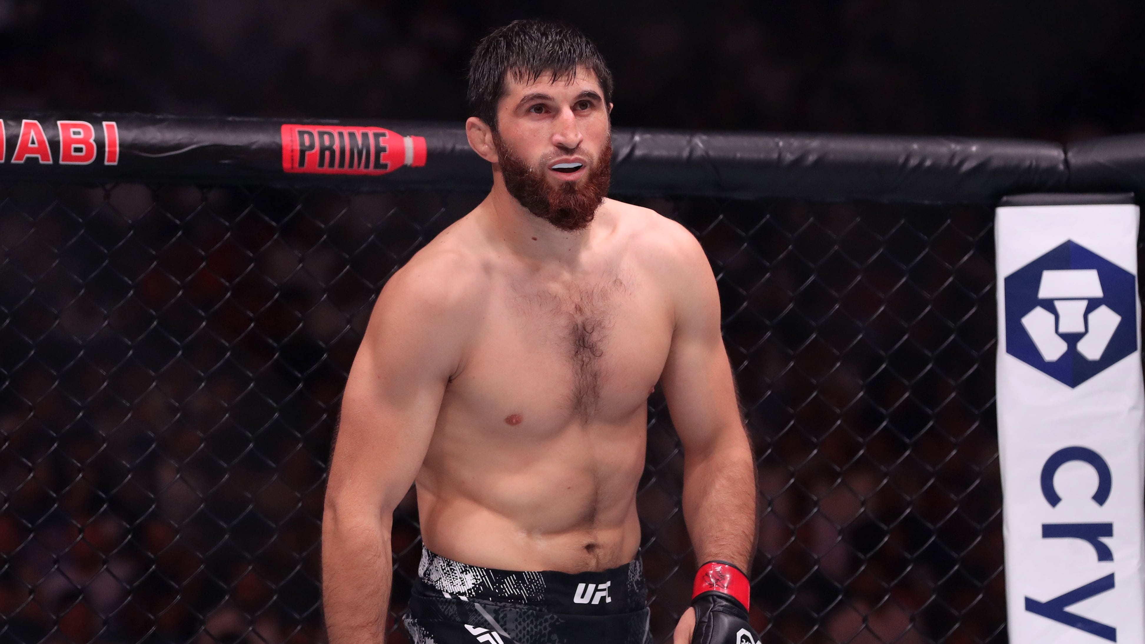 Magomed Ankalaev v Khalil Rountree to headline UFC Fight Night in Abu Dhabi