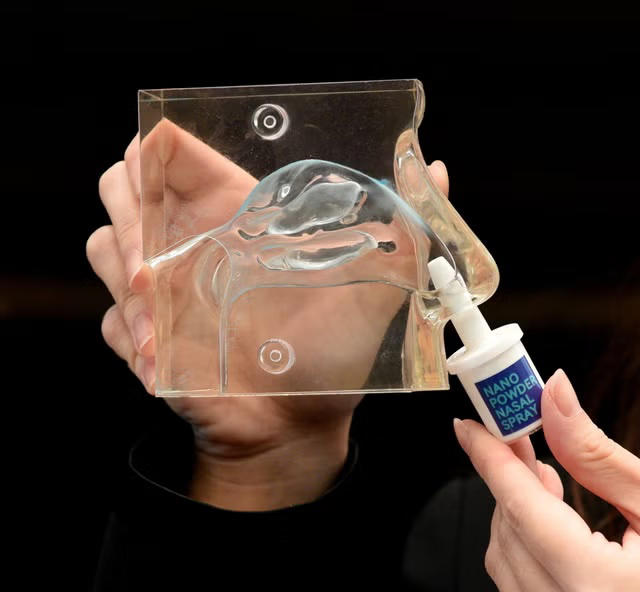 A nasal spray that could protect your brain during a stroke