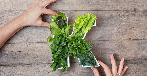 Healthy everyday foods packed with vitamin K that you should add to ...