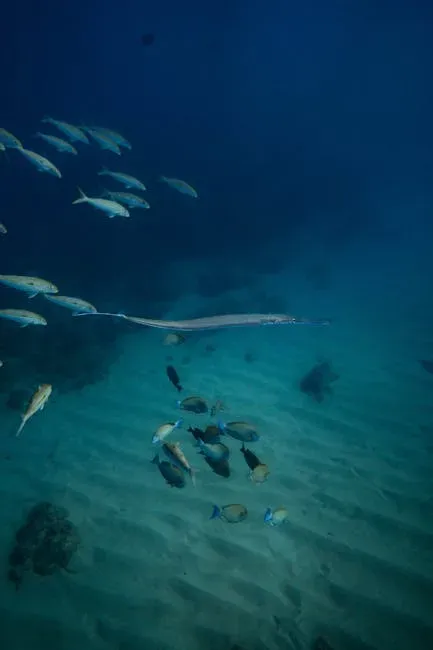 Deep-sea creatures emerging during unusual ocean conditions