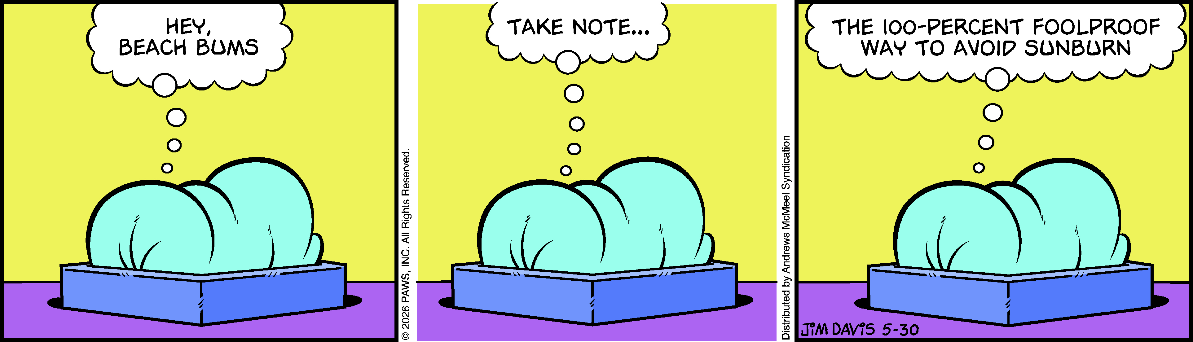Garfield by Jim Davis