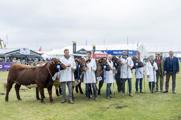 Championship success for Aberdeen Angus and Limousin teams at Balmoral Show