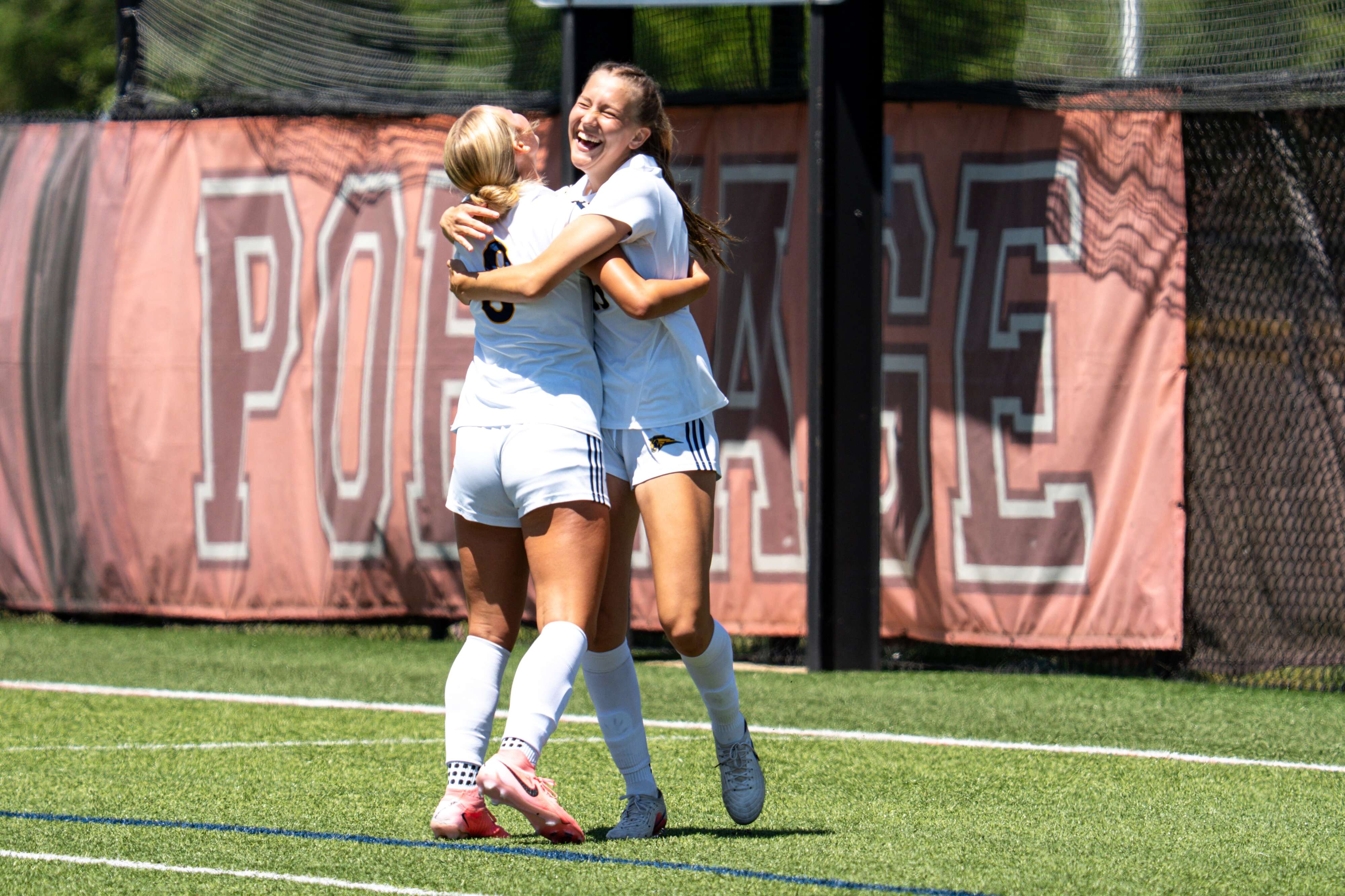 OT drama fuels 6 Kalamazoo-area girls soccer district champs — see who ...