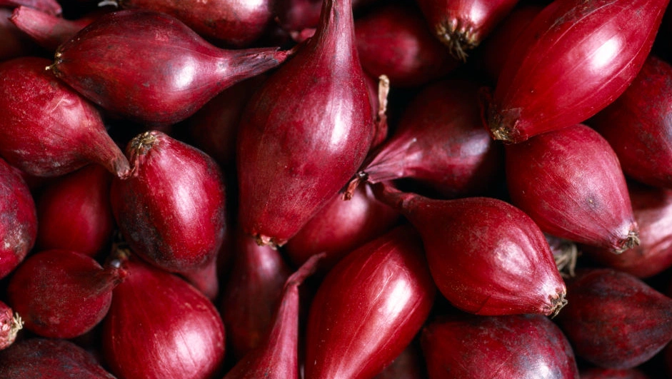 Why red onions deserve a spot in your kitchen