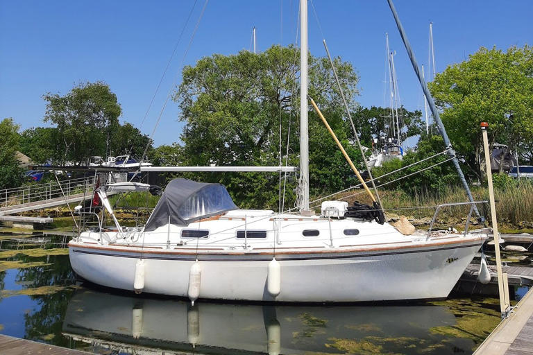 Ministers accused of 'turning blind eye' to yacht gangs smuggling ...