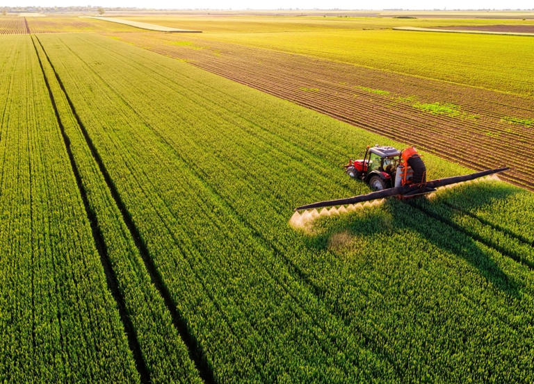 Worst US wheat crop since 1972 could push grocery prices higher ...