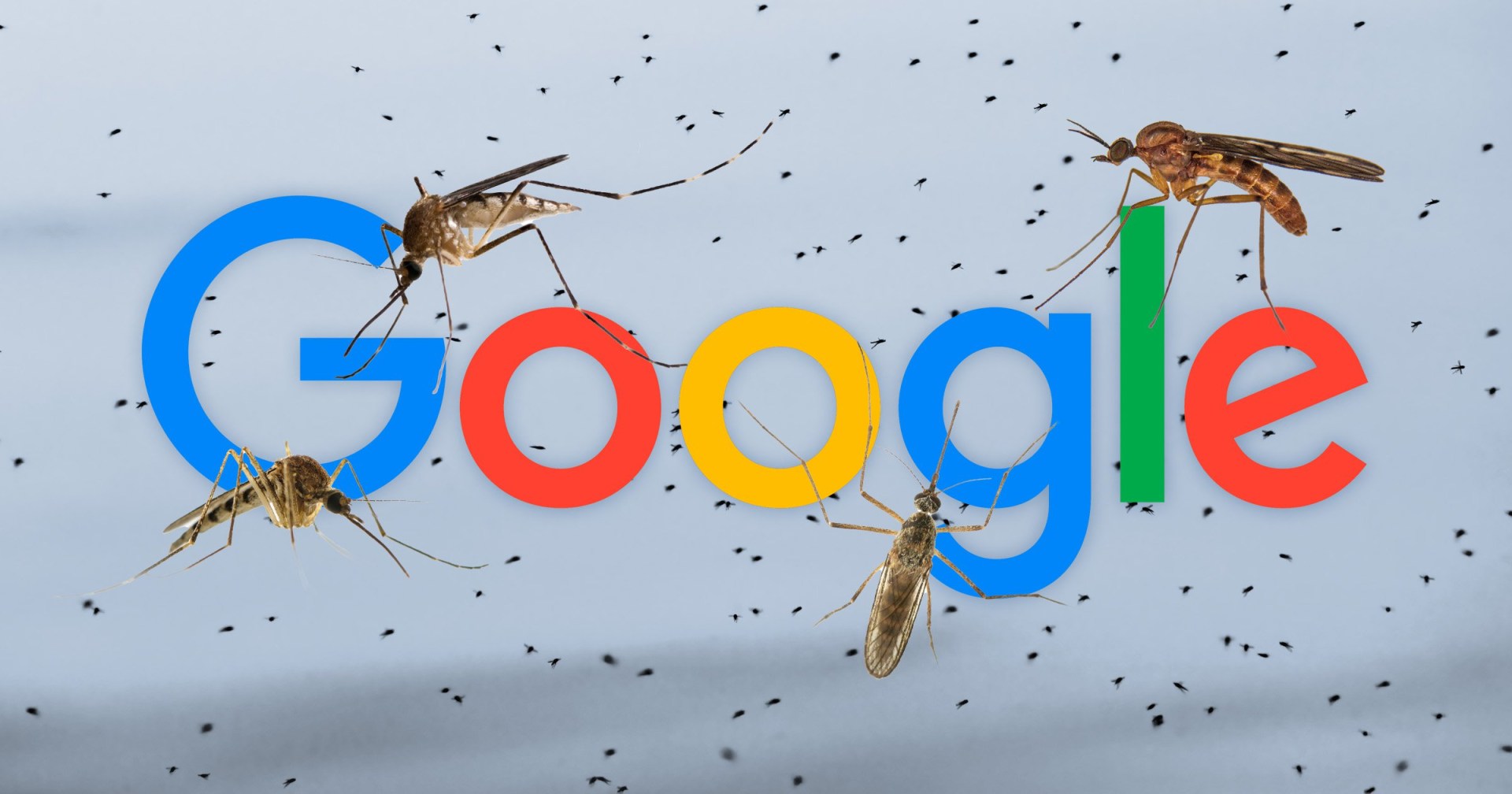 Google wants to release 32,000,000 infected mosquitoes into the wild