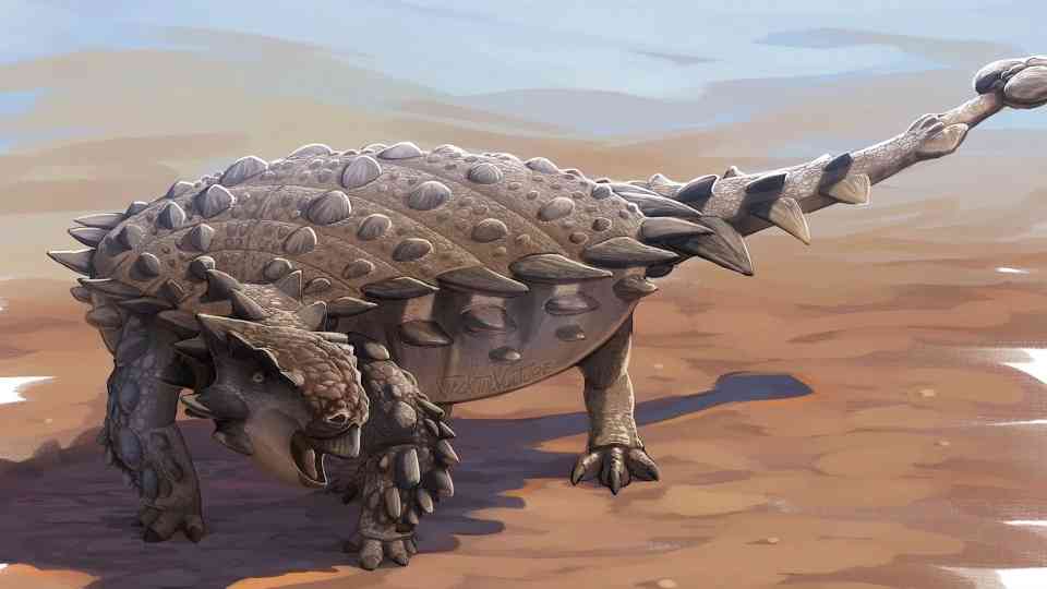 The dinosaur built like a tank - inside Pinacosaurus
