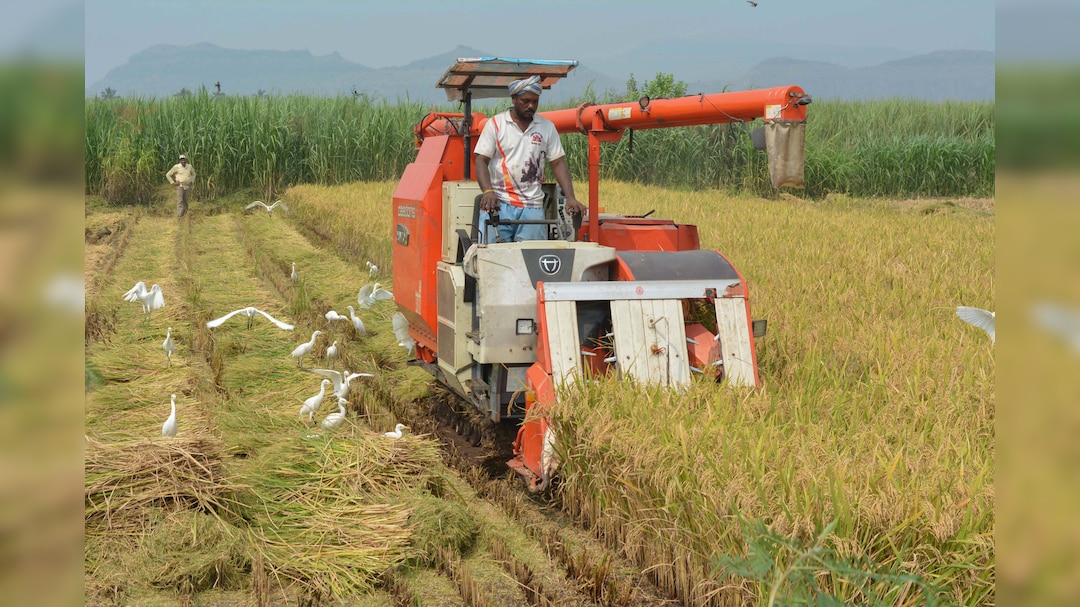 Govt steps up El Nino preparedness; forms crop watch groups, fertiliser ...