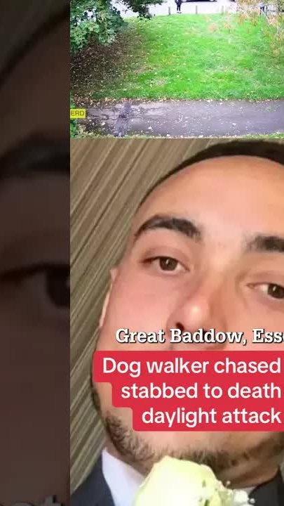 Dog walker chased and stabbed to death in daylight attack