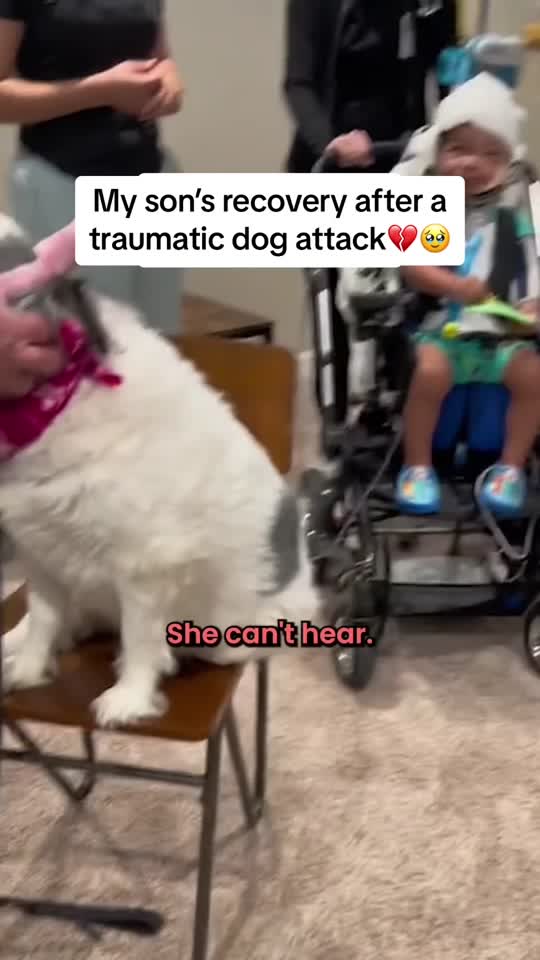 A dog attack changed this boy's face forever but he refused to give up