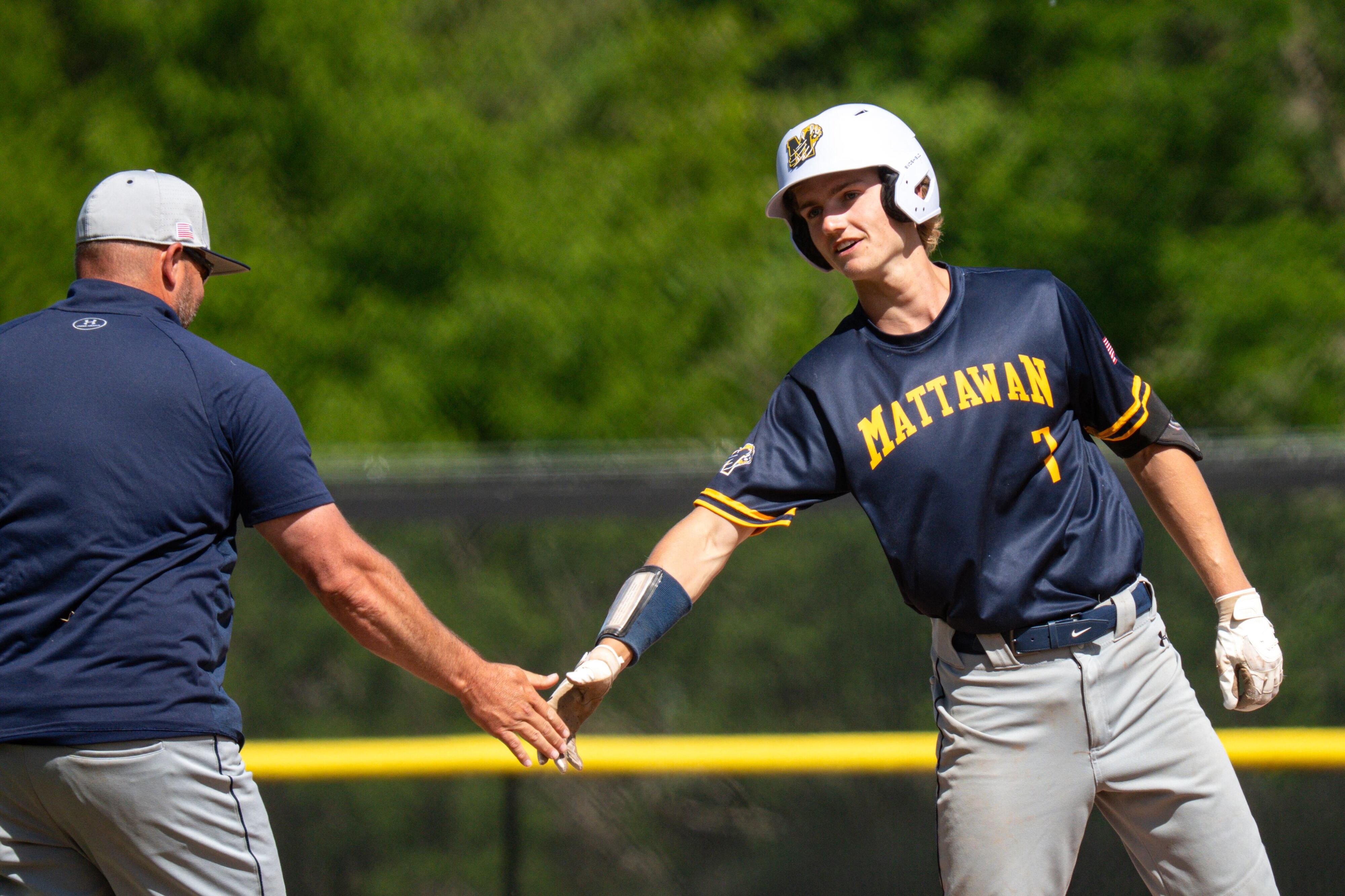 10 Kalamazoo-area baseball teams win district titles — see all the ...
