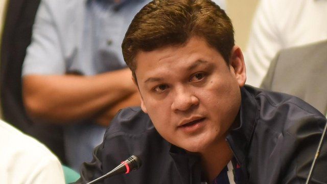 Palace says Paolo Duterte 'pitiful' over disinformation