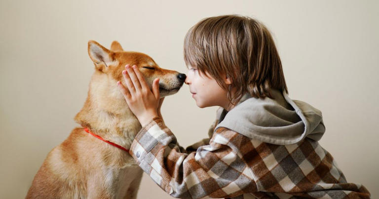 ‘Specially trained' dogs are making hospital stays less scary for kids