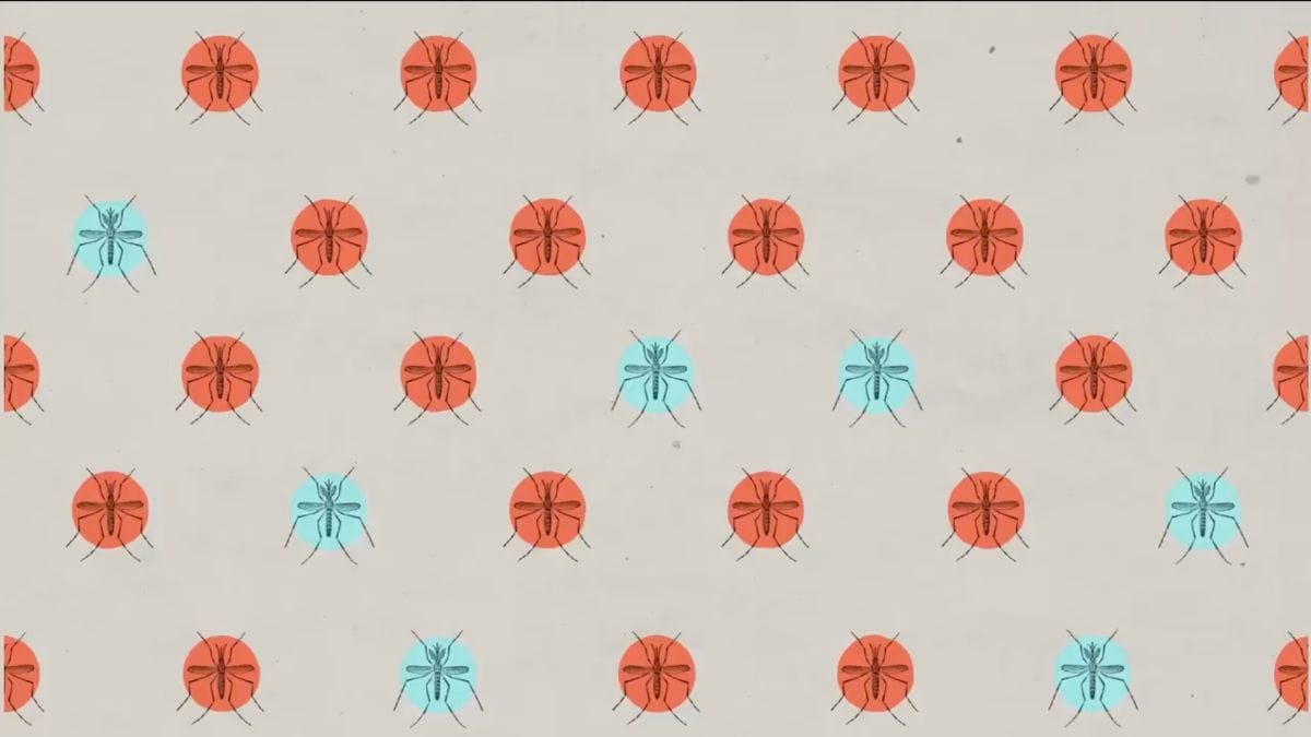 Google wants to kill disease-causing mosquitoes. Their weapon of choice ...