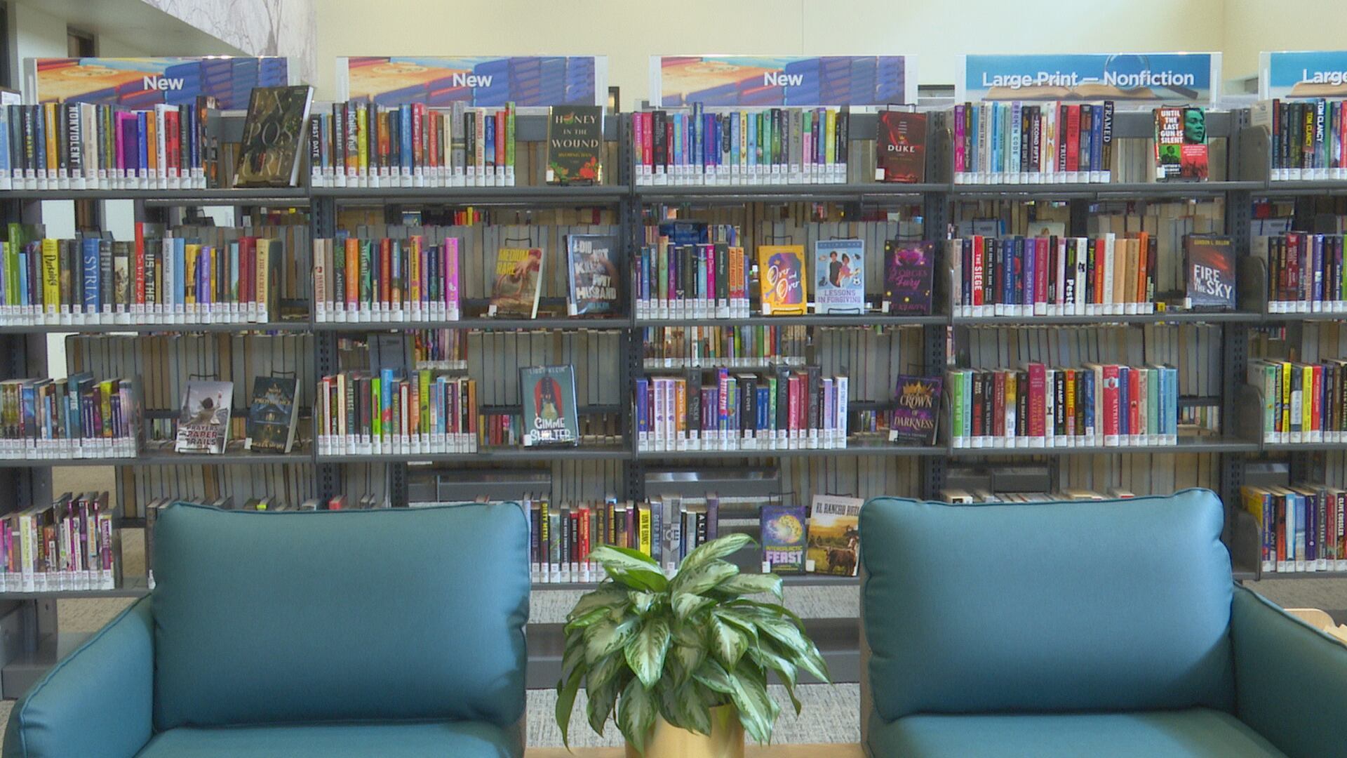 Republic Library Branch hosts grand open celebration and summer reading ...